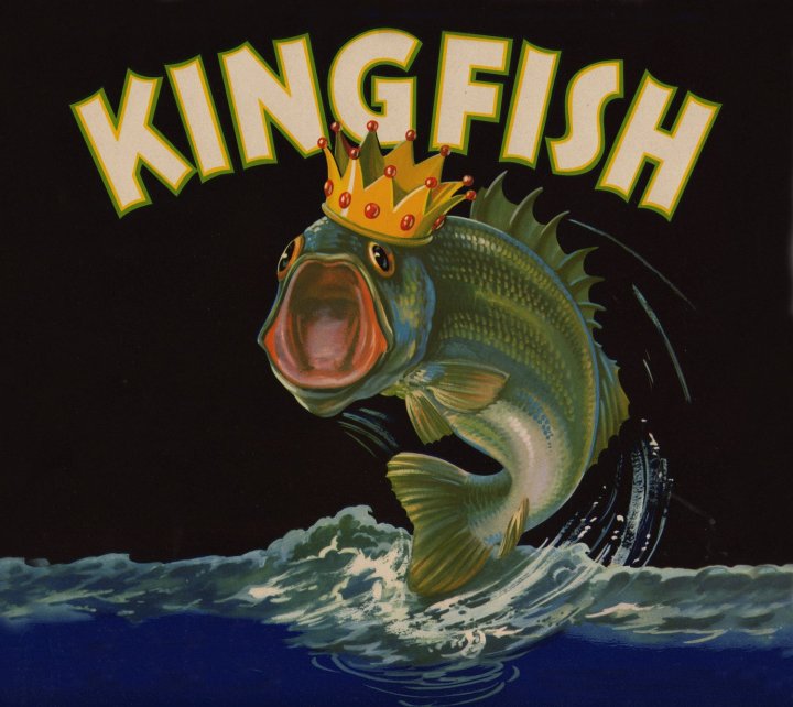kingfish logo – KPSQ-LP Fayetteville 97.3 FM